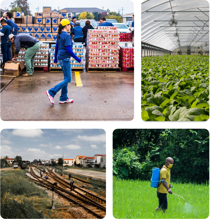 About Us | Green Customs